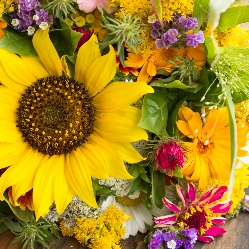 5 Flowers That Are Resilient Through Difficult Summers ⋆ Funky and Creative